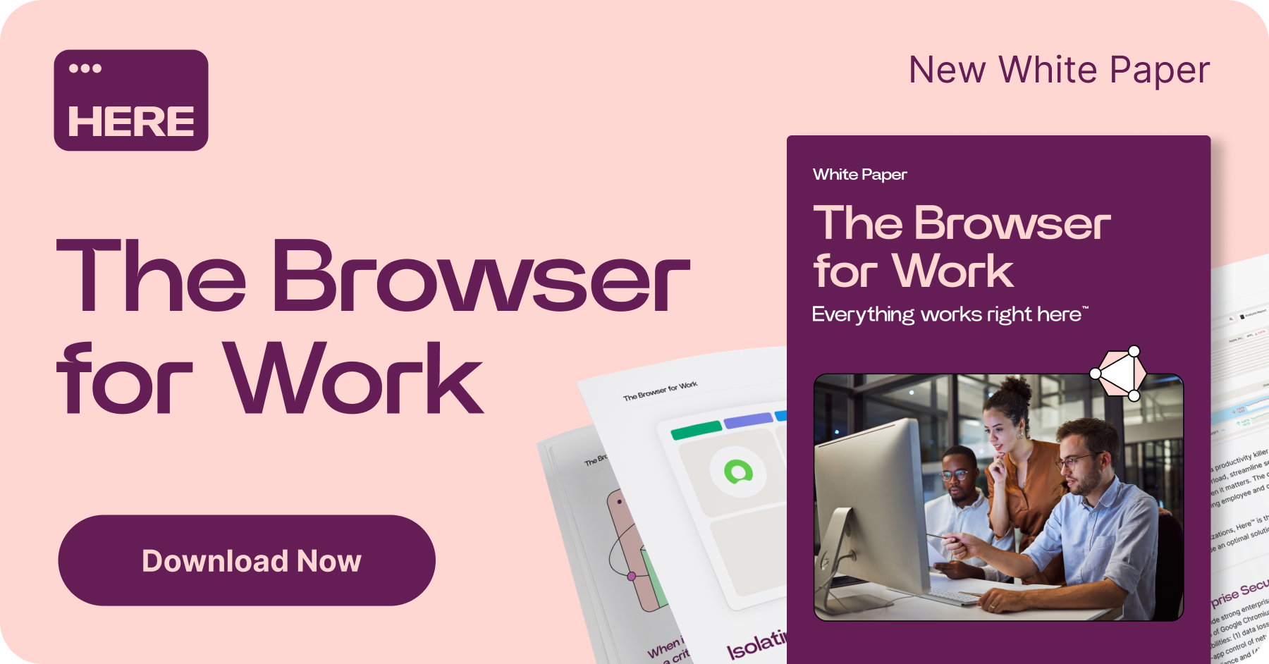 HERE Enterprise Browser WhitePaper